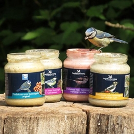 Vogelfutter Wildvögel - Das richtige Futter fürs Vogelhaus